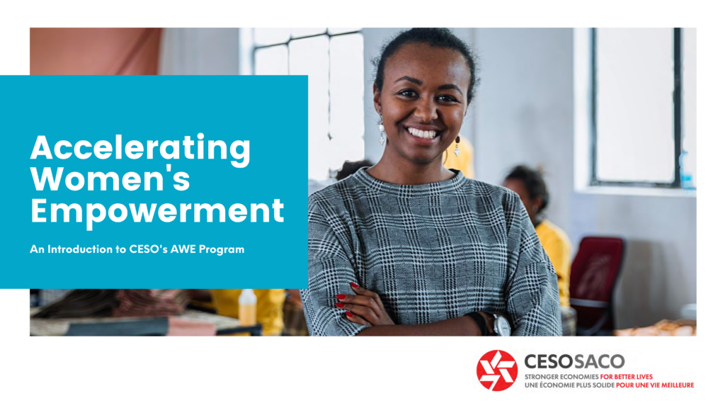 Accelerating Women’s Empowerment: Project Charter – Catalyste+ Accelerating Women’s Empowerment: Project Charter – Catalyste+